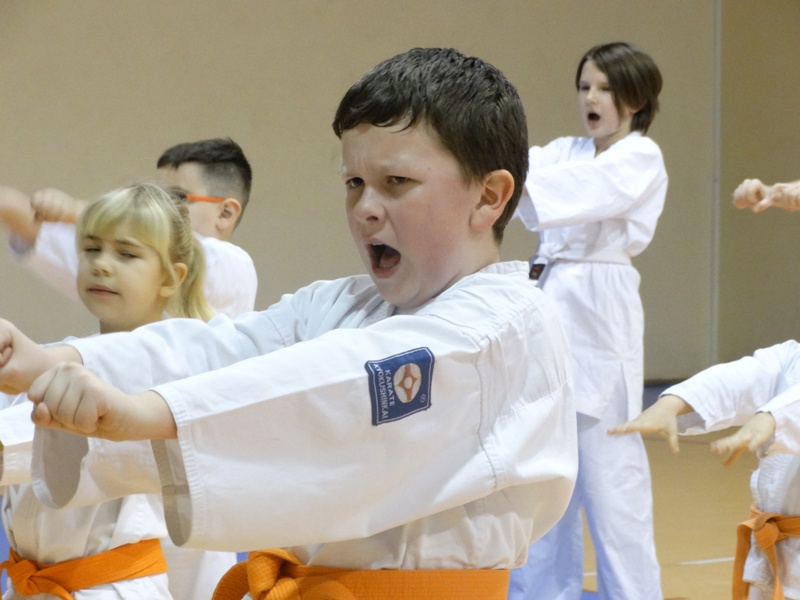 Karatecy BKKK zdali egzamin (zdjęcia) - Aktualności | OPI Ostrowski ...