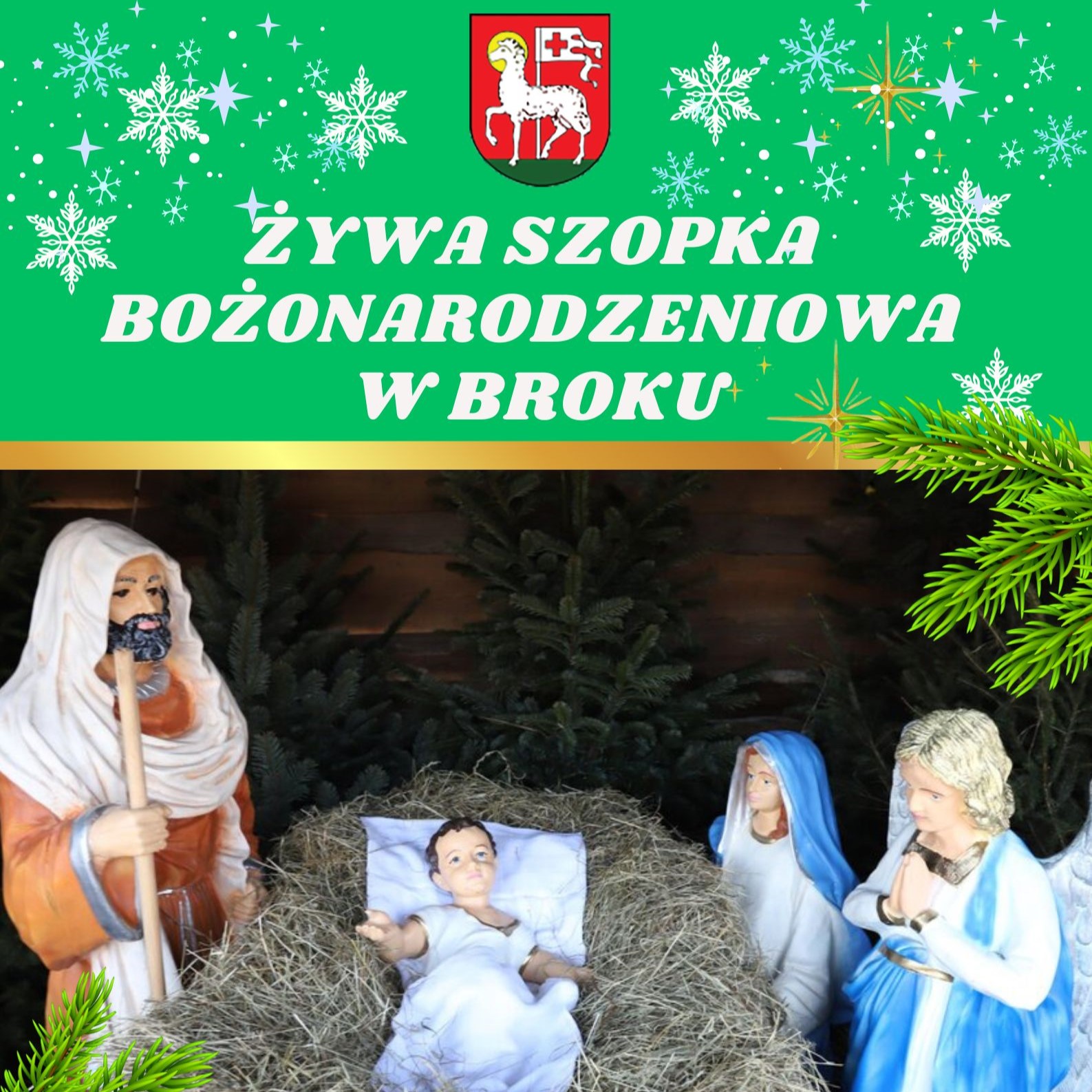 Żywa szopka znów w Broku. Tylko dwa dni na spotkanie ze zwierzętami ...